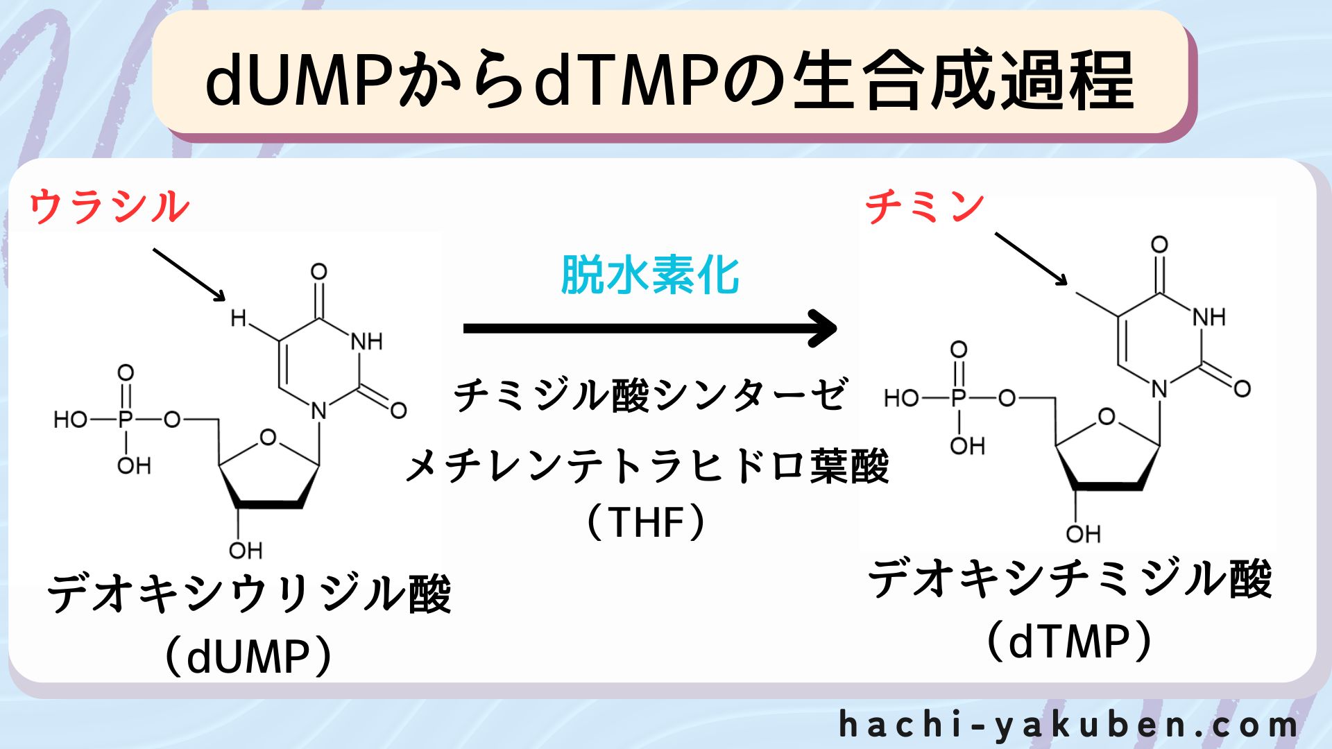 【実例で学ぶ】医薬品にフッ素を導入するメリット